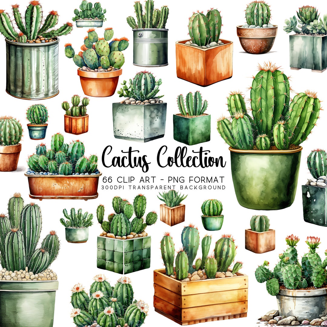 Cactus Clipart & Succulents - Digital Scrapbooking and Plant Elements ...