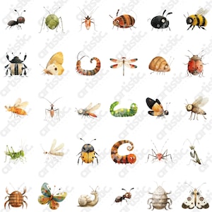 Watercolor Bugs Clipart Bundle: Insect PNG Graphics (digital Download ...