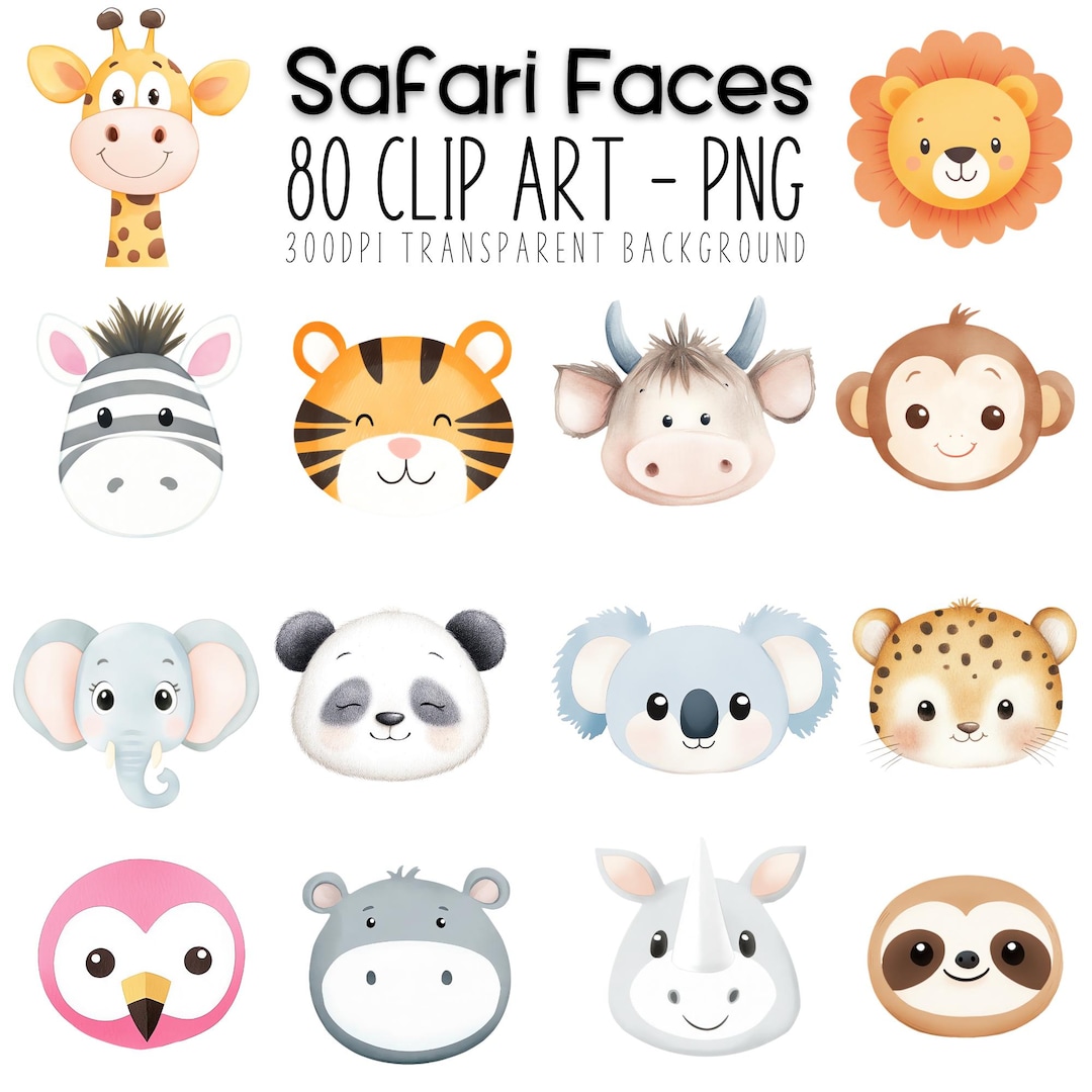 Animal Faces Clipart Set: 80 Safari Png Digital Illustration - Etsy
