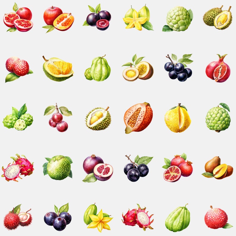 Exotic Fruit Clipart: 108 PNG & JPG Food Images (digital Download) - Etsy