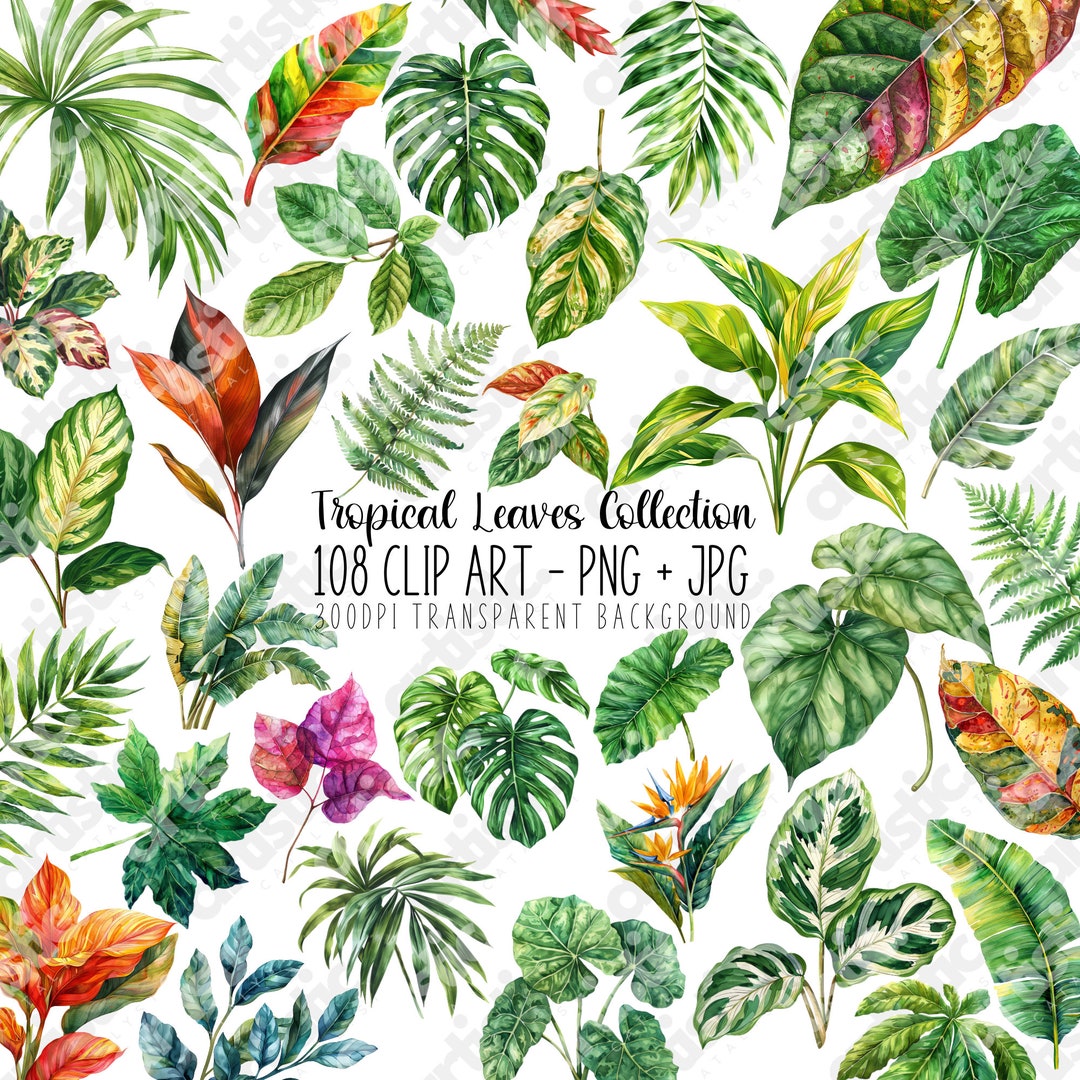 Tropical Leaves Watercolor Clipart Bundle: 108 Monstera & Hibiscus PNG ...