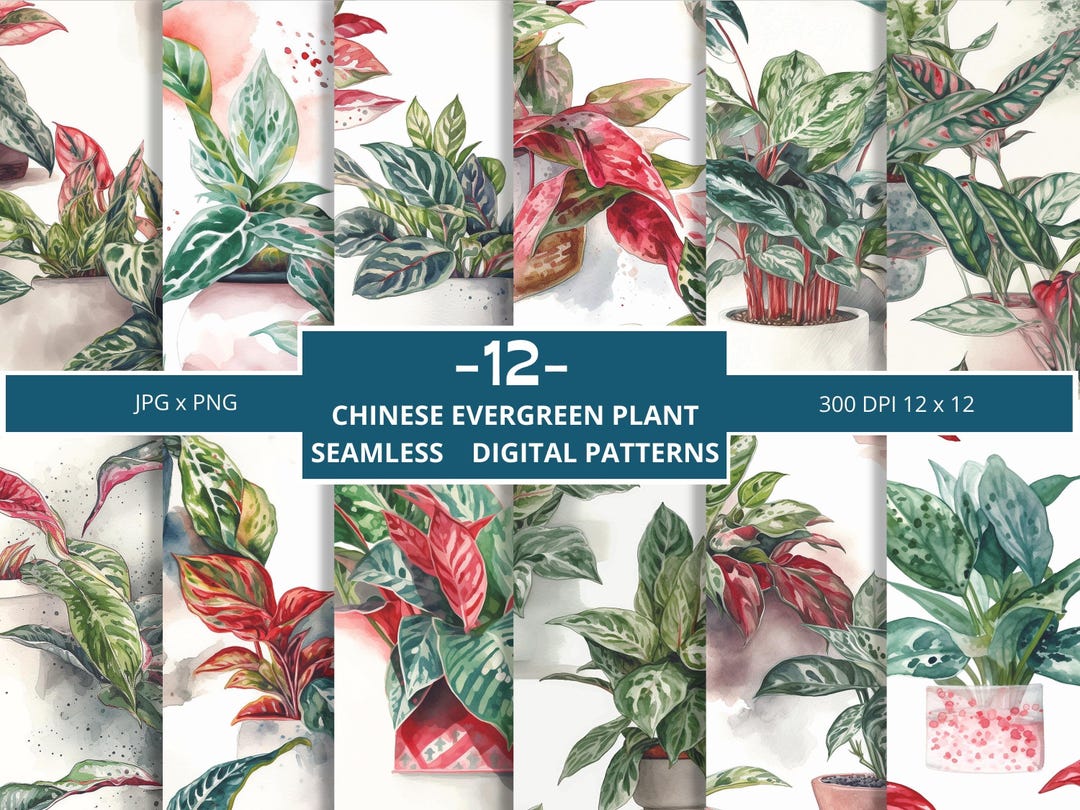 Chinese Evergreen Seamless Digital Papers, Commercial Use, Pattern ...