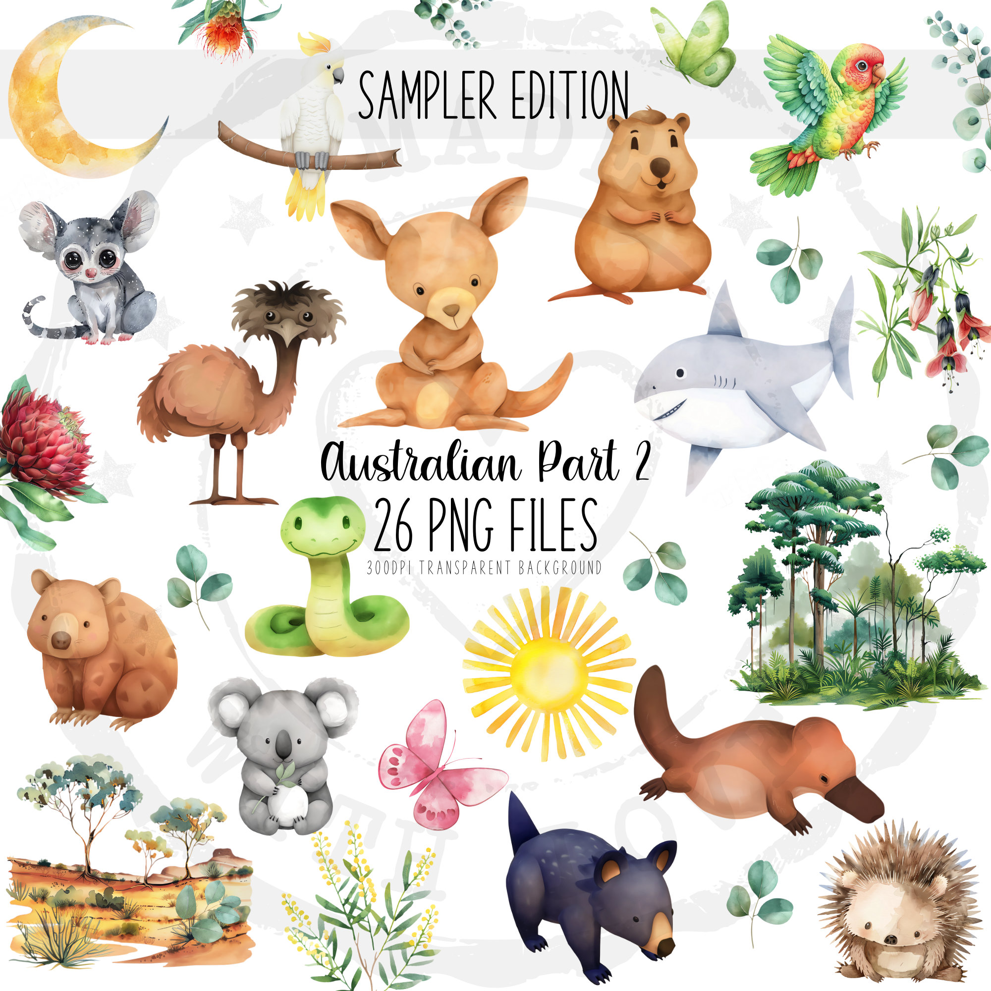 Wildlife Clipart Bundle - Australian 26 PNG, Baby Animal Art, Nursery ...