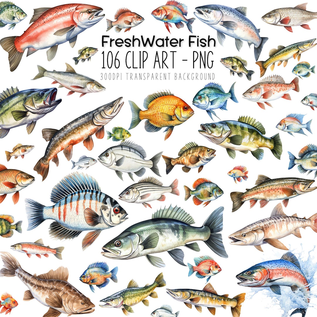 Fish Clipart Collection: 106 Watercolor PNG Images (digital Download ...