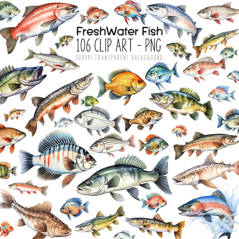Freshwater Fish - Etsy