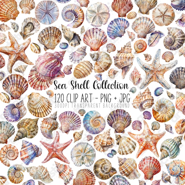 Conch Shell Art - Etsy