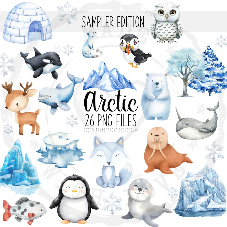 Arctic Animals Clipart Bundle: Watercolor Winter PNG Images (digital ...