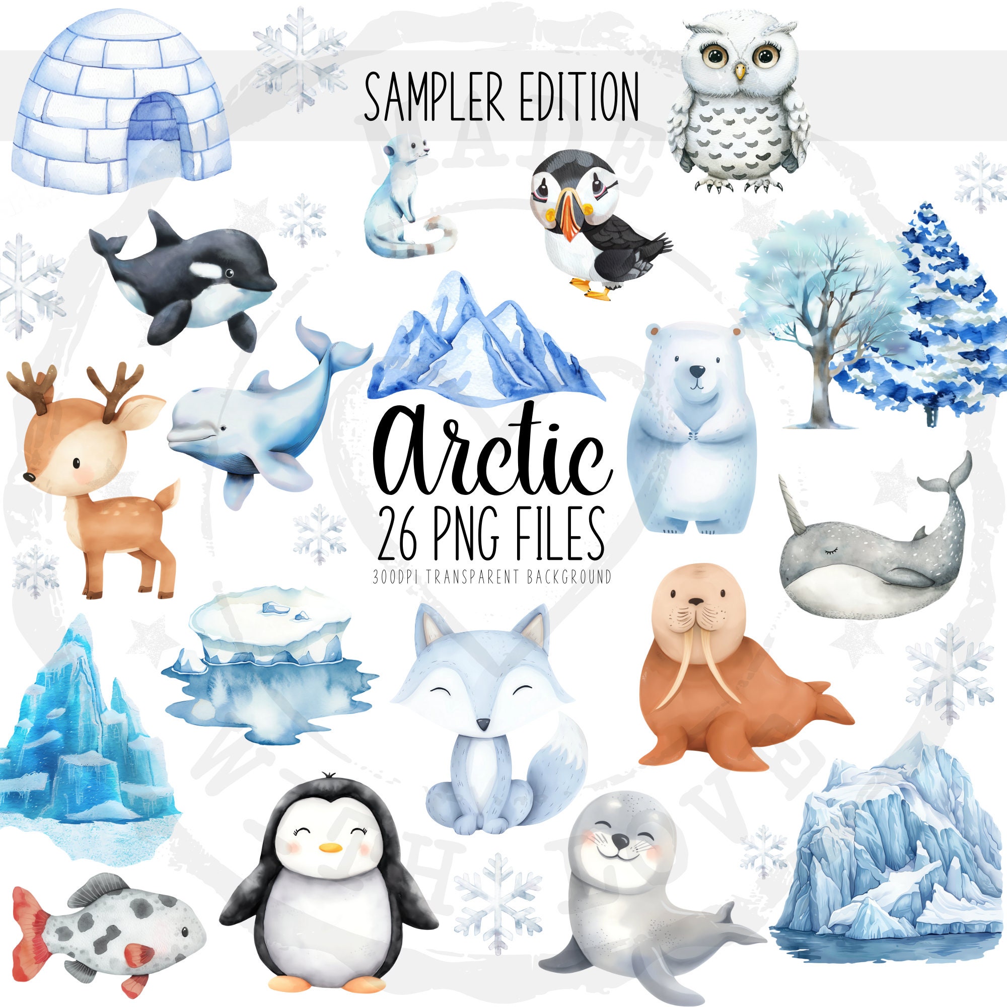 Arctic Animals Clipart Bundle: Watercolor Winter PNG Images (digital ...