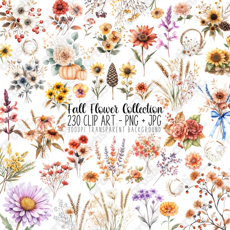 Floral Watercolor Clipart Bundle: 230 Fall Boho Flower Pngs - Etsy