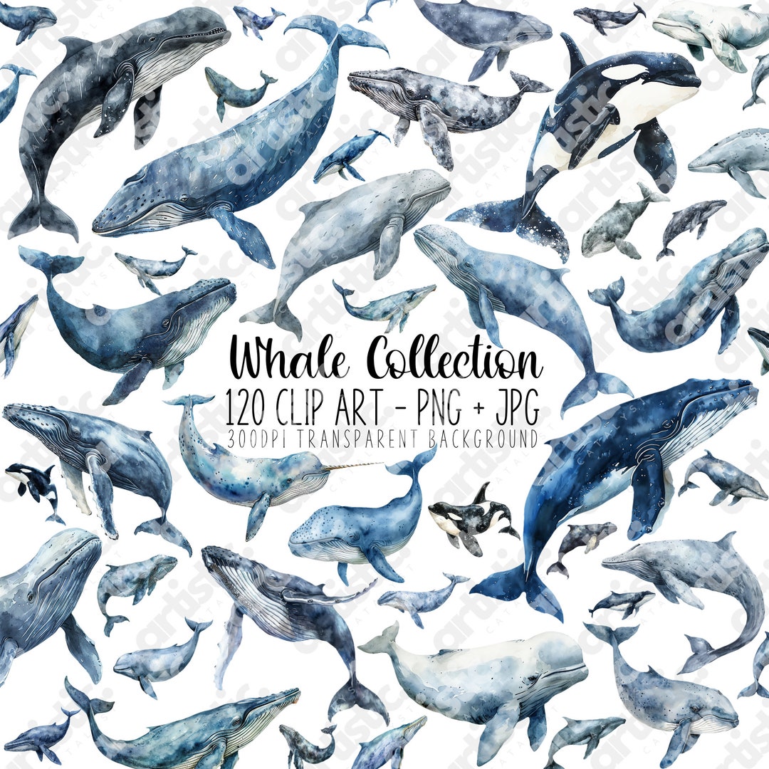 Whale Clipart Collection, Watercolor Sea Creature Nautical Decor ...