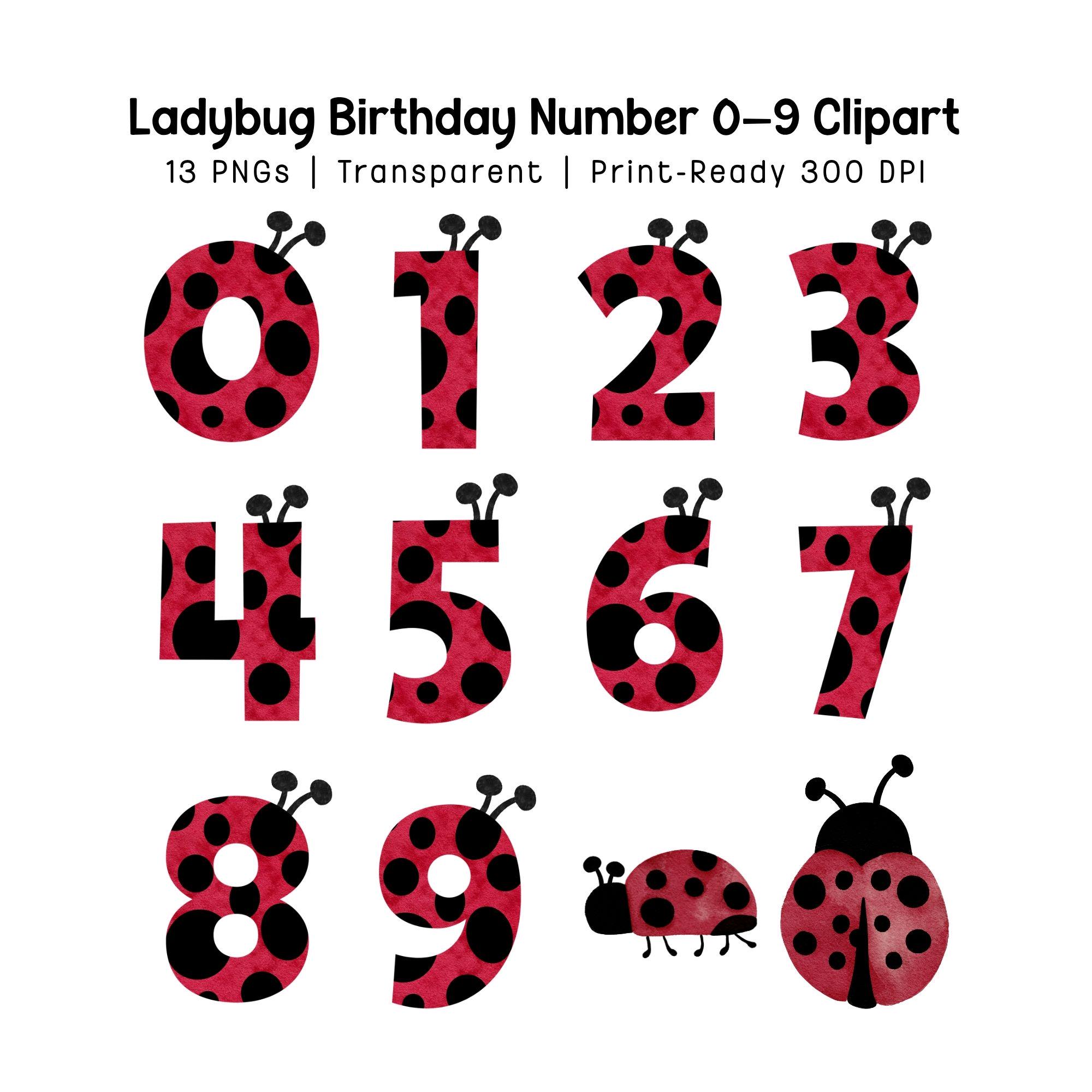 Ladybug Birthday Clipart Numbers: Hand-drawn Insect PNG Set (digital ...