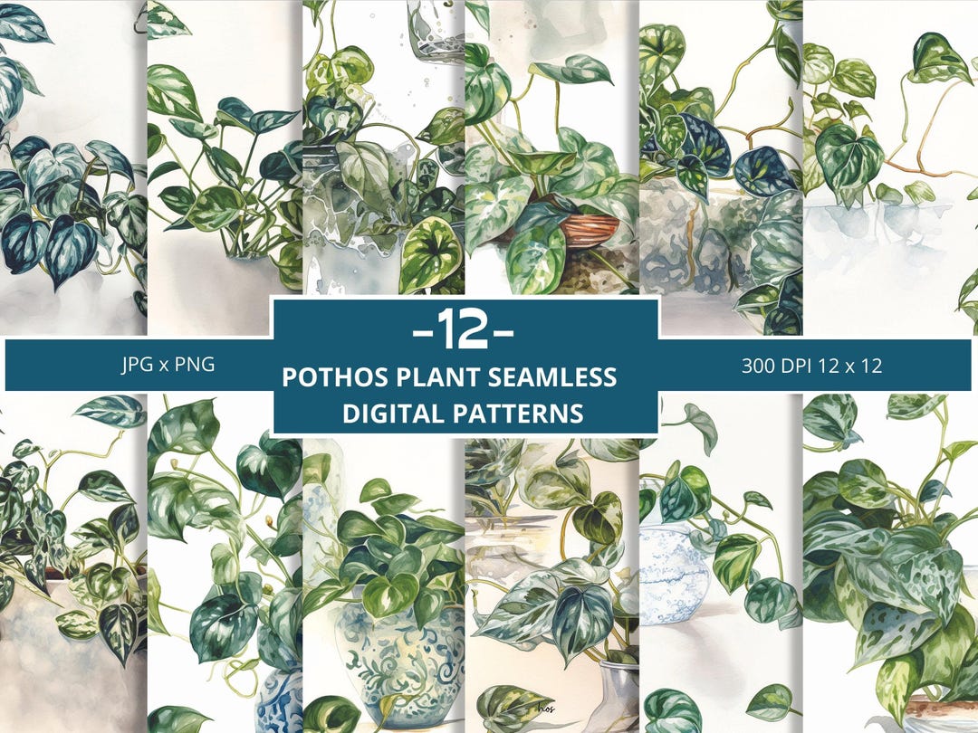 Pothos Plant Seamless Patterns: Commercial Use Digital Paper (PNG & JPG ...