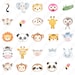 Animal Faces Clipart Set: 80 Safari Png Digital Illustration - Etsy