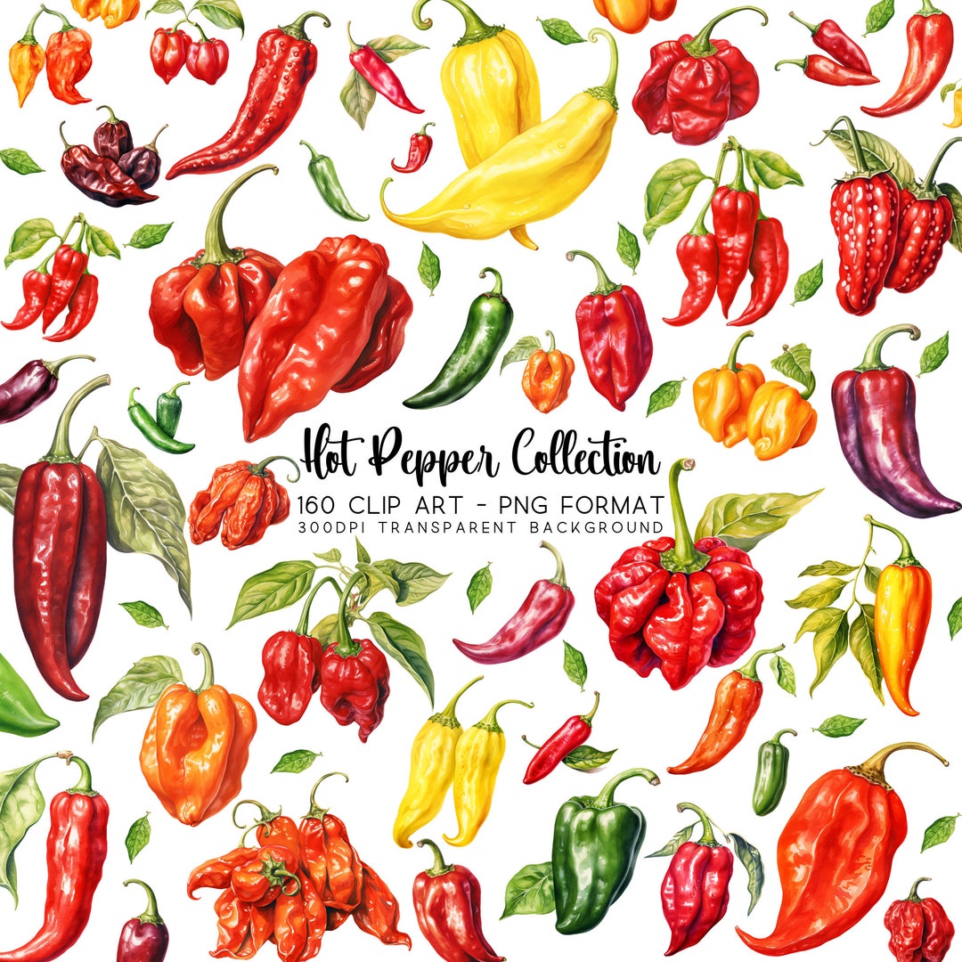 Spicy Hot Pepper Clipart: 160 PNG Image Files for Cricut - Etsy Canada