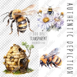Watercolor Bee Clipart Bundle: Honeycomb, Flowers (digital Download) - Etsy