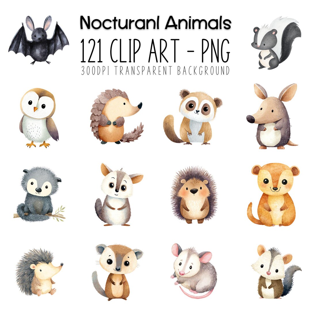 Nocturnal Animal Clipart, Watercolor Night Creatures PNG, 121 Animal ...