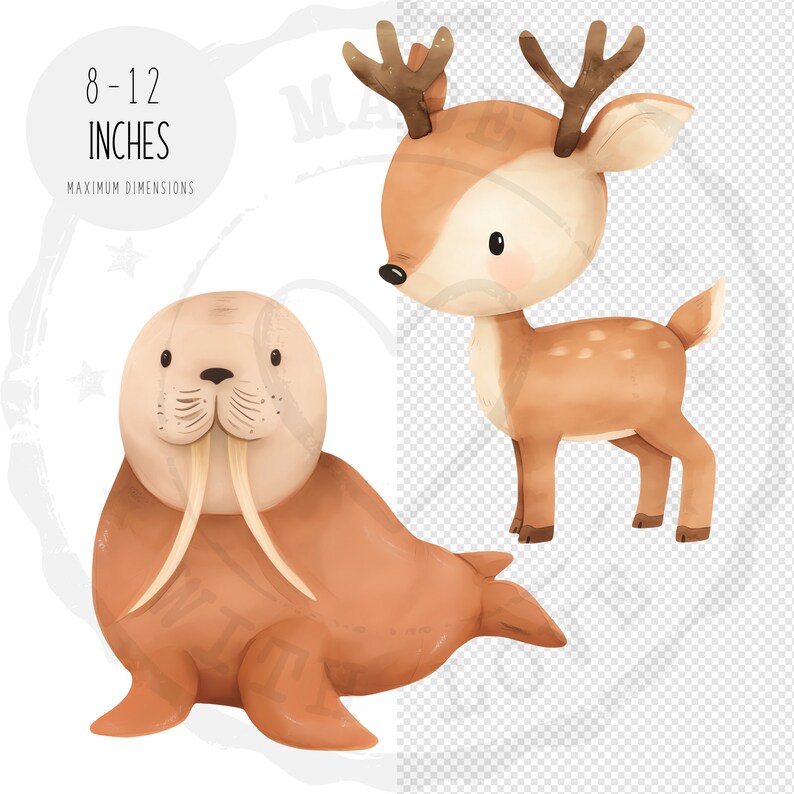 Arctic Animals Clipart Bundle: Watercolor Winter PNG Images (digital ...