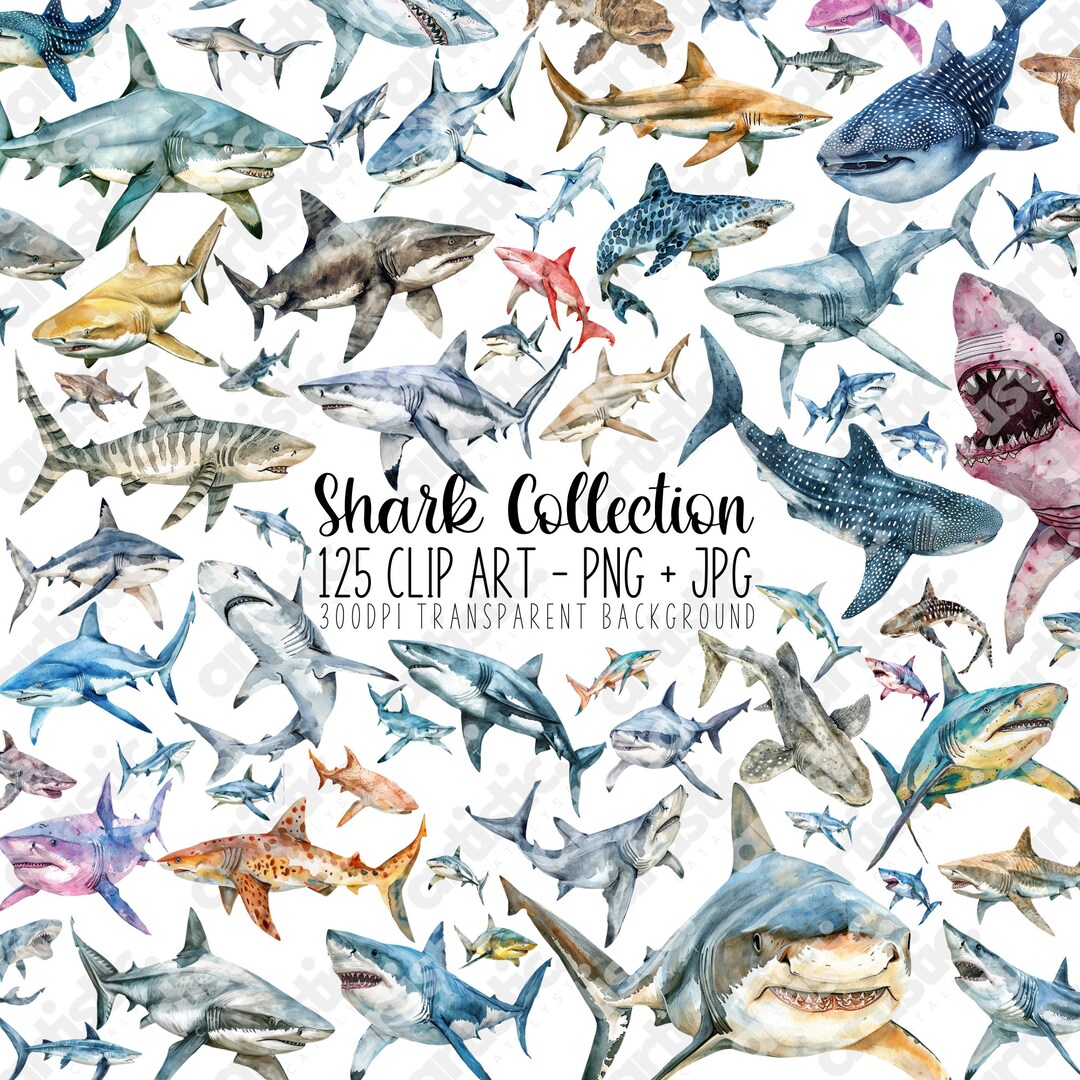 Shark Clipart Collection Ocean Clipart PNG, Baby Shark Stickers ...