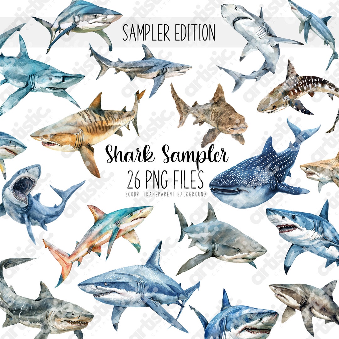 Watercolor Shark Clipart Bundle: 26 PNG Images (digital Download) - Etsy