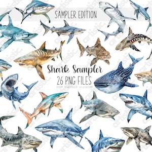 Watercolor Shark Clipart Bundle: 26 PNG Images (digital Download) - Etsy