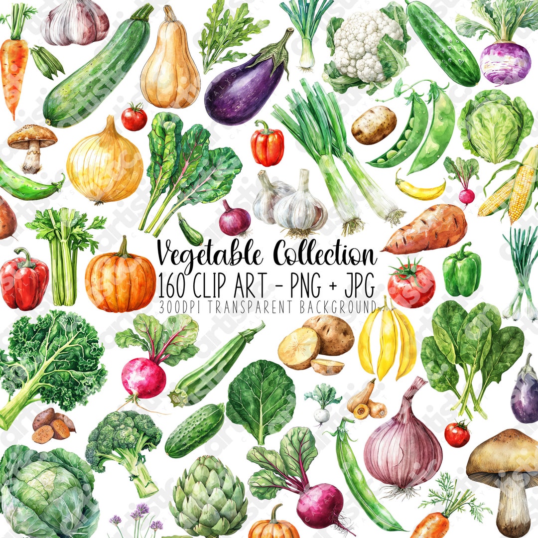 Watercolor Vegetable Clipart Set: 160 PNG Images (digital Download) - Etsy
