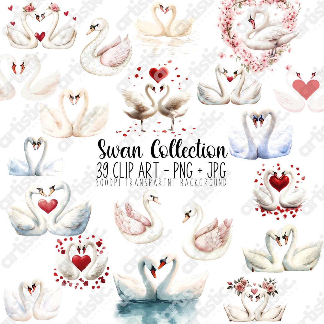 Swan Clipart Bundle - Valentines Day PNG Watercolor Swans Clip Art ...
