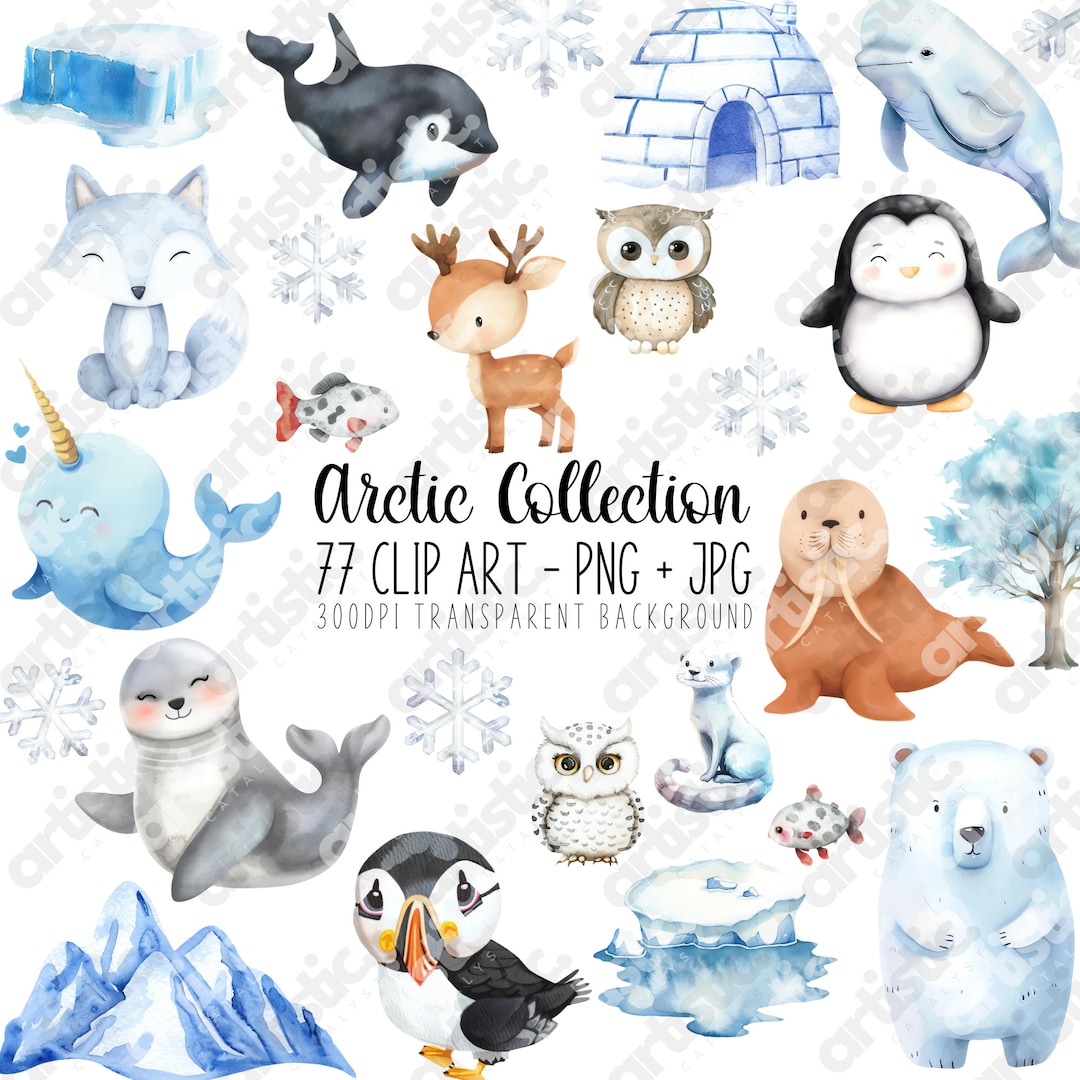 Watercolor Arctic Animals Clipart: Eskimo & Baby Animals (PNG JPG) - Etsy