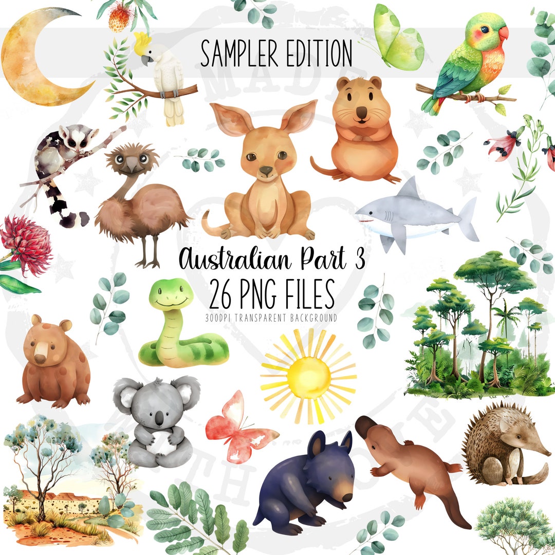 Aussie Animals Clipart Bundle Pack (3) - 26 PNG, Nursery Decor, Baby ...