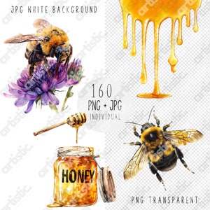 Watercolor Bee Clipart Bundle: Honeycomb, Flowers (digital Download) - Etsy