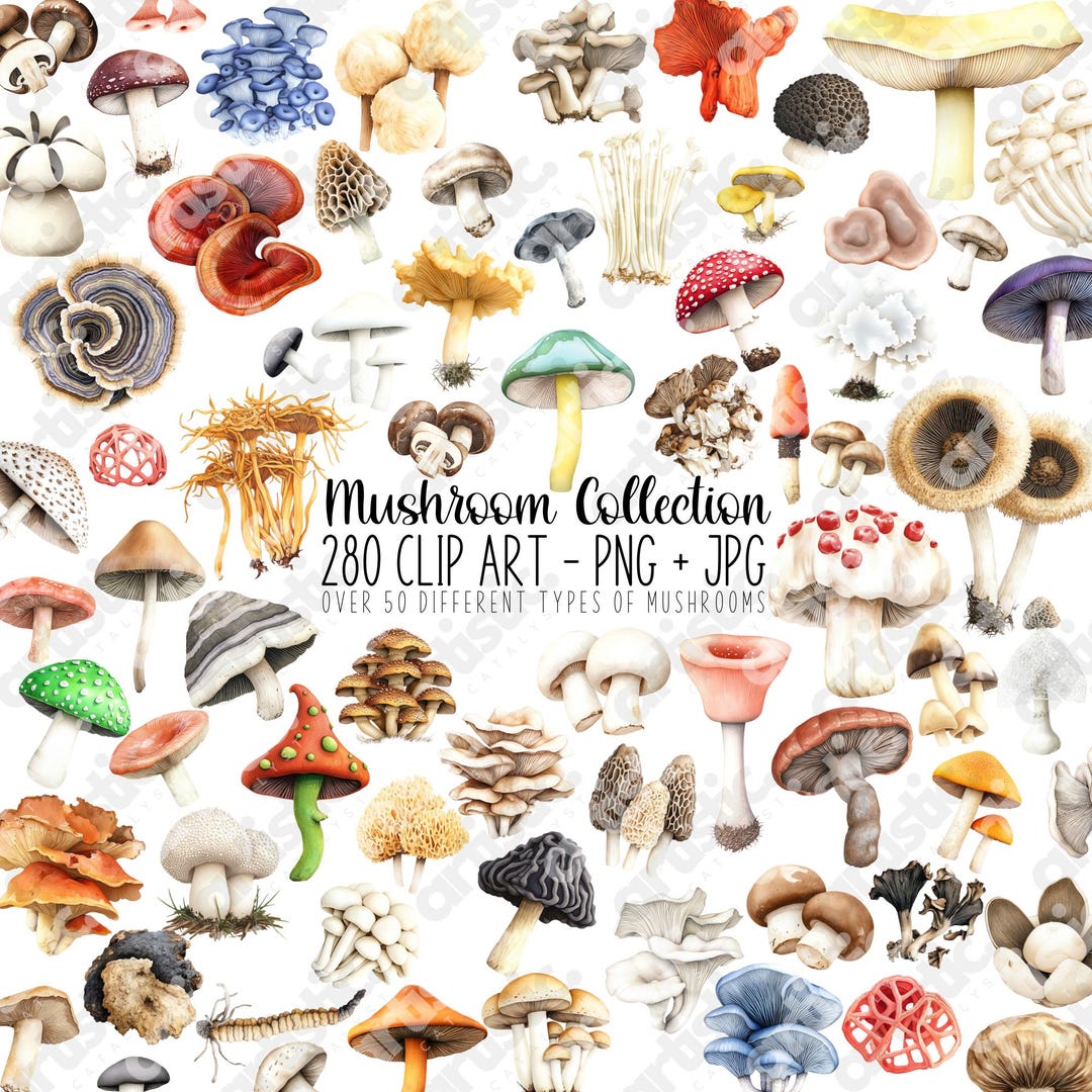 Watercolor Mushroom Clipart Bundle: Cottagecore PNG Designs (digital ...
