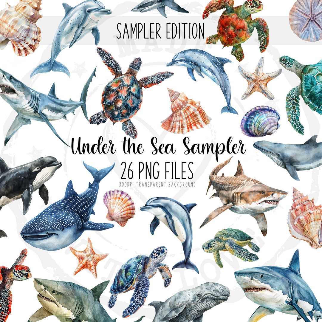 Under the Sea Clipart Bundle Watercolor Sea Life, Dolphin, Sea Turtle ...