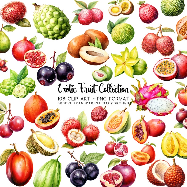 Exotic Fruit Clipart: 108 PNG & JPG Food Images (digital Download) - Etsy