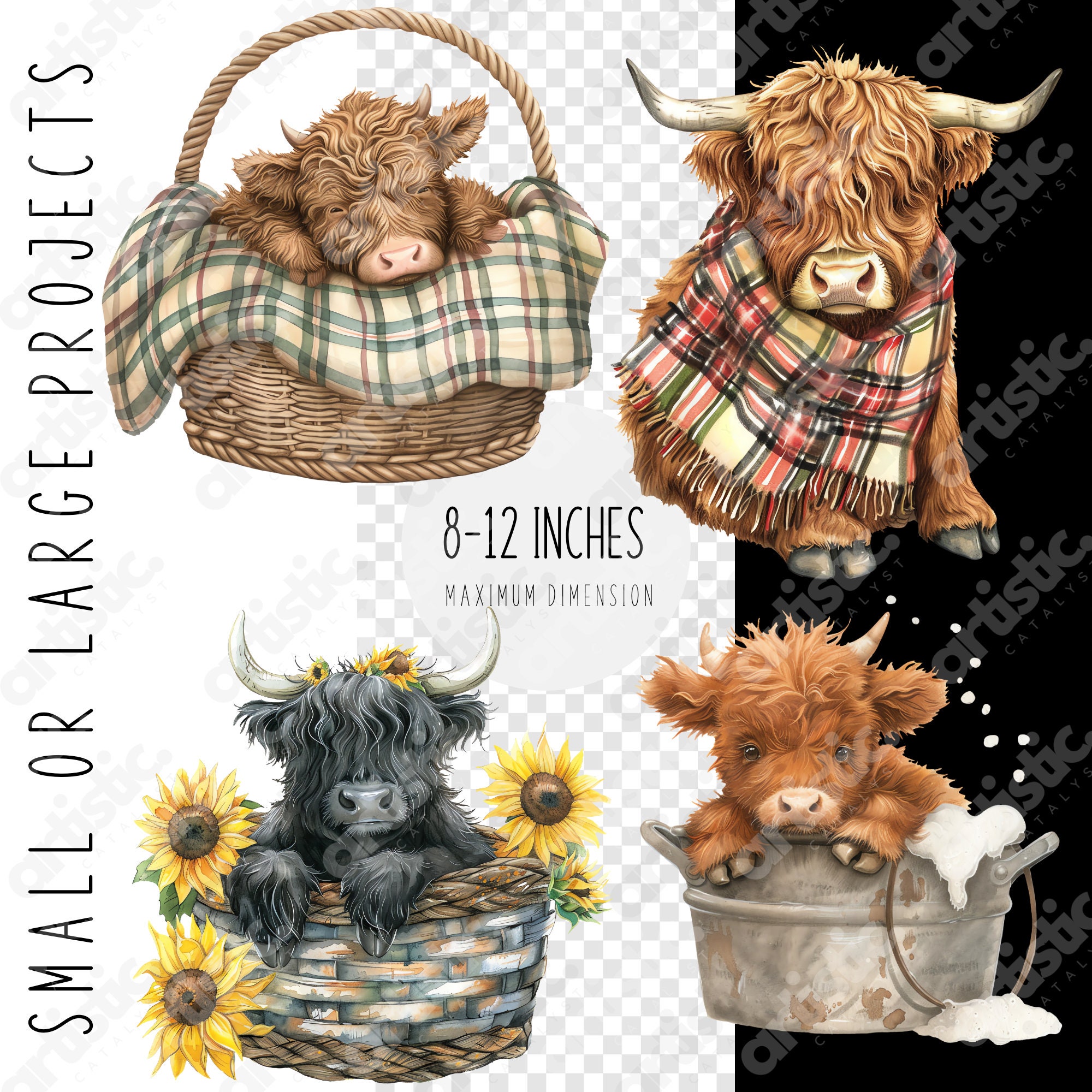 Highland Cow Watercolor Clipart Bundle: Rustic Farmhouse PNG JPG ...