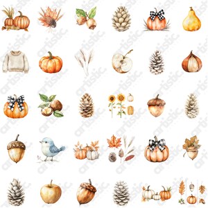 Autumn Watercolor Clipart Bundle: 168 Fall Pumpkins, Plaid Bows (PNG ...