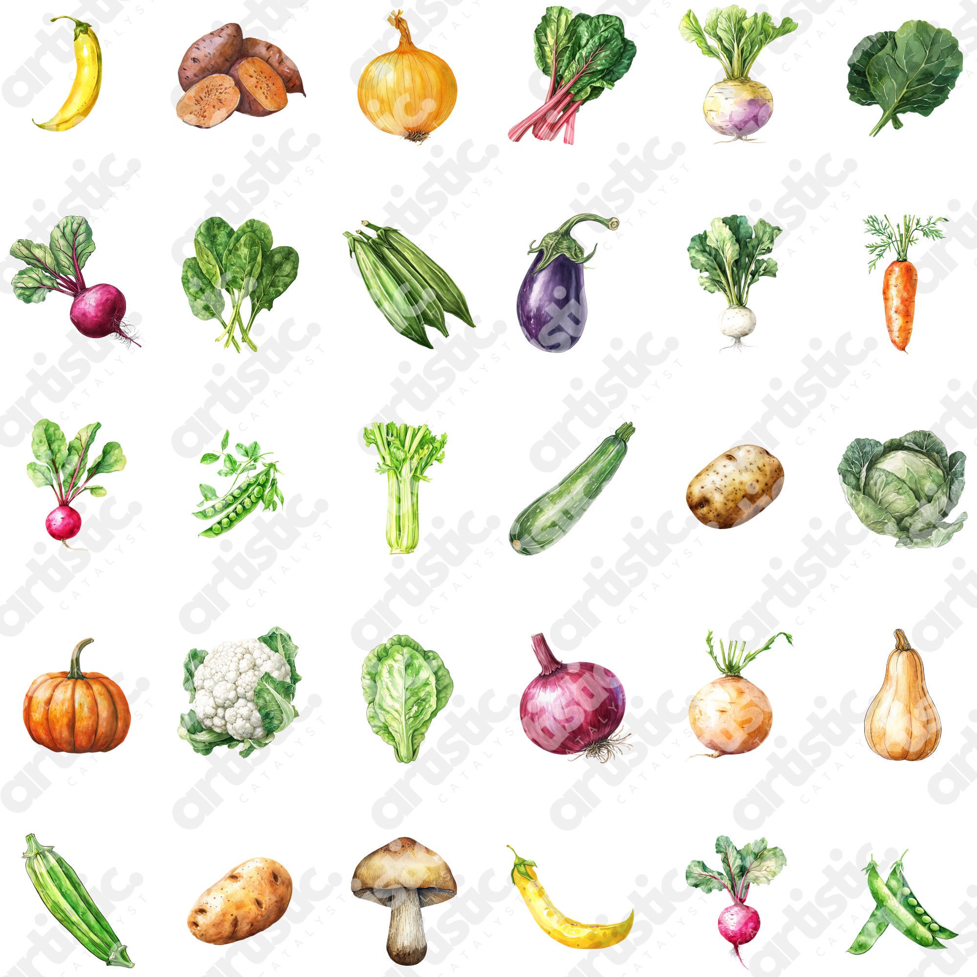 Vegetable Clipart Bundle: 160 Watercolor PNG Images (digital Download ...