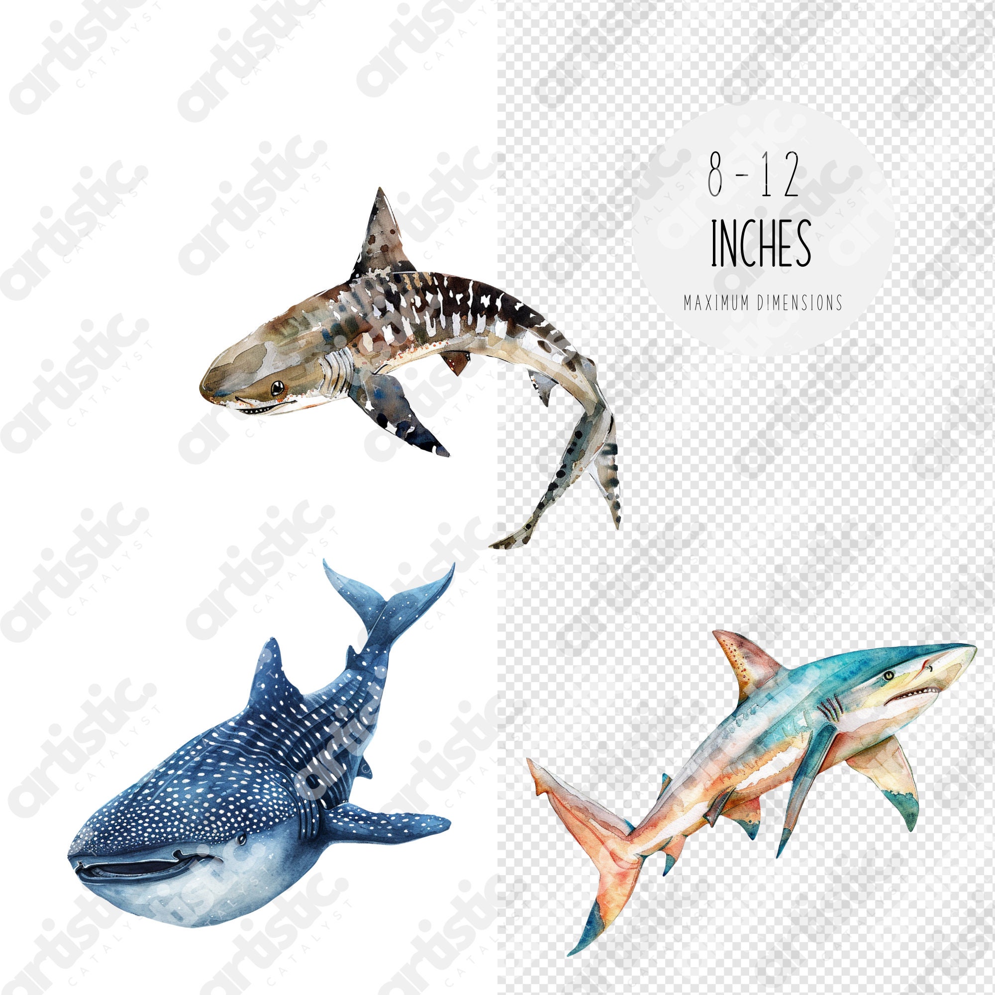 Watercolor Shark Clipart Bundle: 26 PNG Images (digital Download) - Etsy