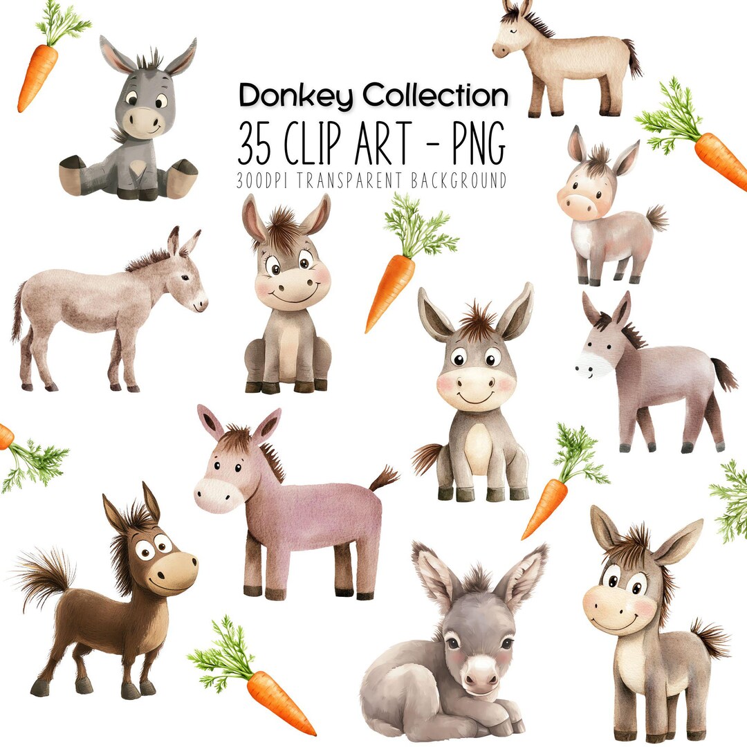 Watercolor Donkey Clipart Bundle: Farm Animal Pngs (digital Download ...