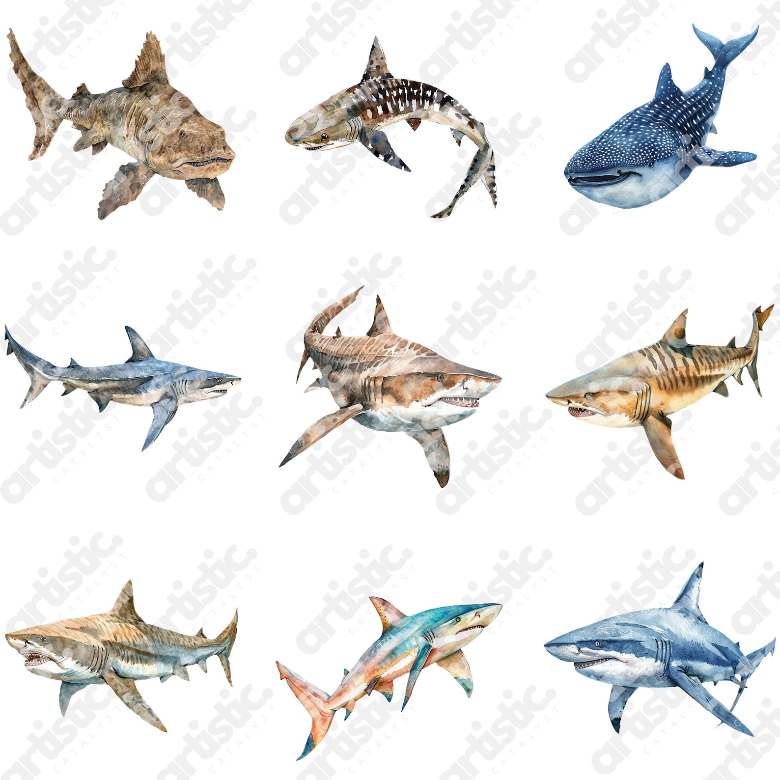 Watercolor Shark Clipart Bundle: 26 PNG Images (digital Download) - Etsy