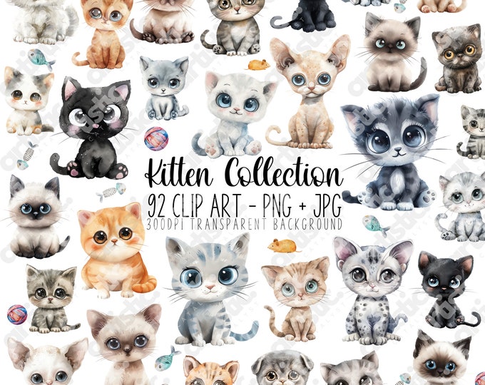 Baby Cat and Flowers Clipart Bundle, Kitten Clipart, Cute Cat Graphics ...
