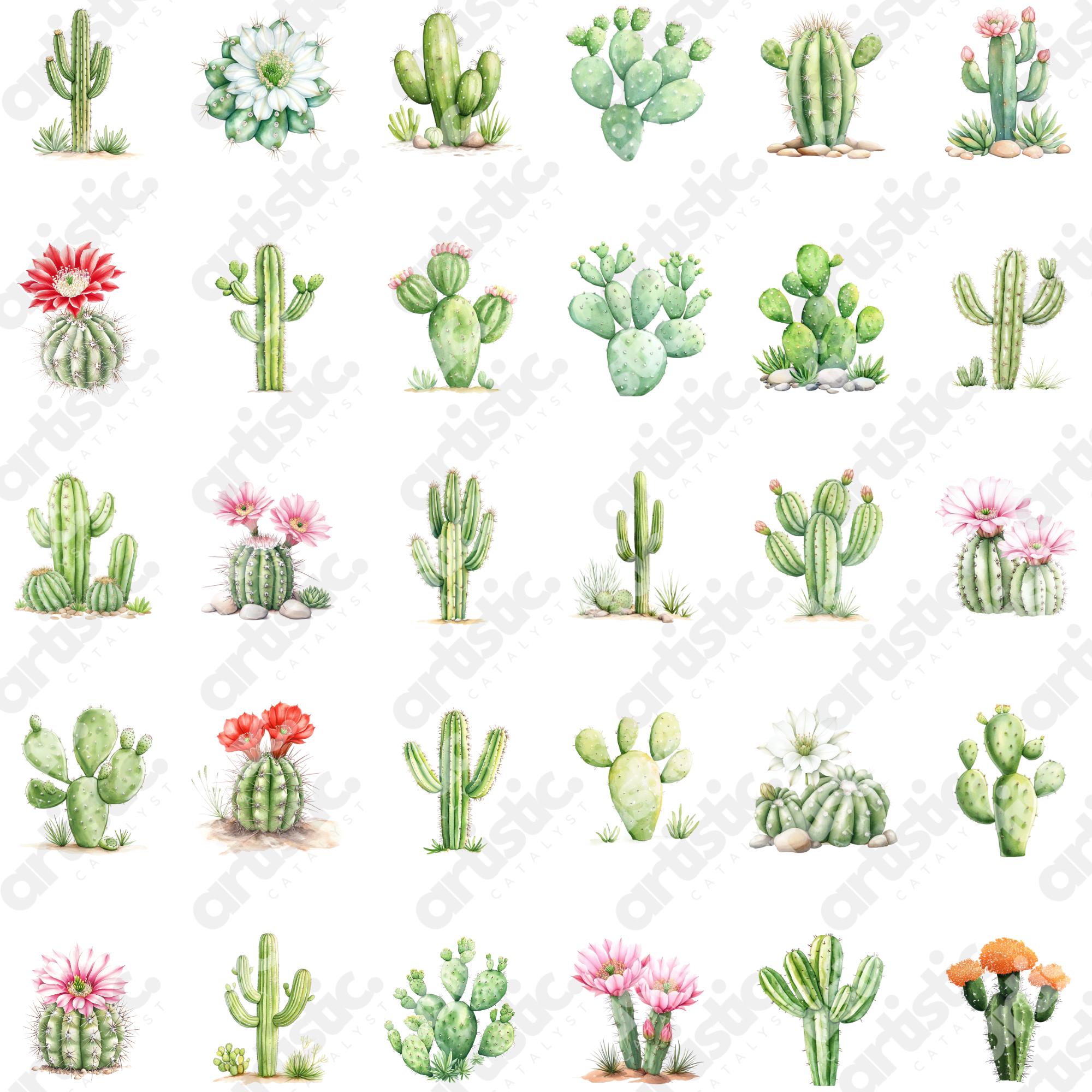 Watercolor Cactus Clipart Bundle: Desert Flora PNG Prints - Etsy