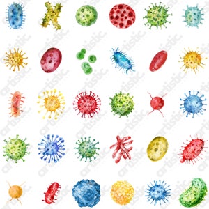 Germs PNG Watercolor Clipart, Bacterium Sticker, Unique Biology Gift ...
