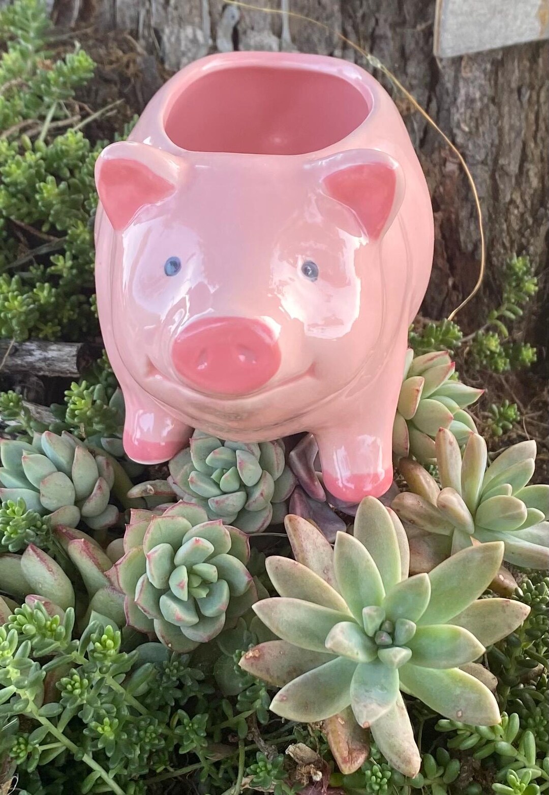Vintage Porcelain Pig Decorative Accent* Pig Cheese Dip Server ...