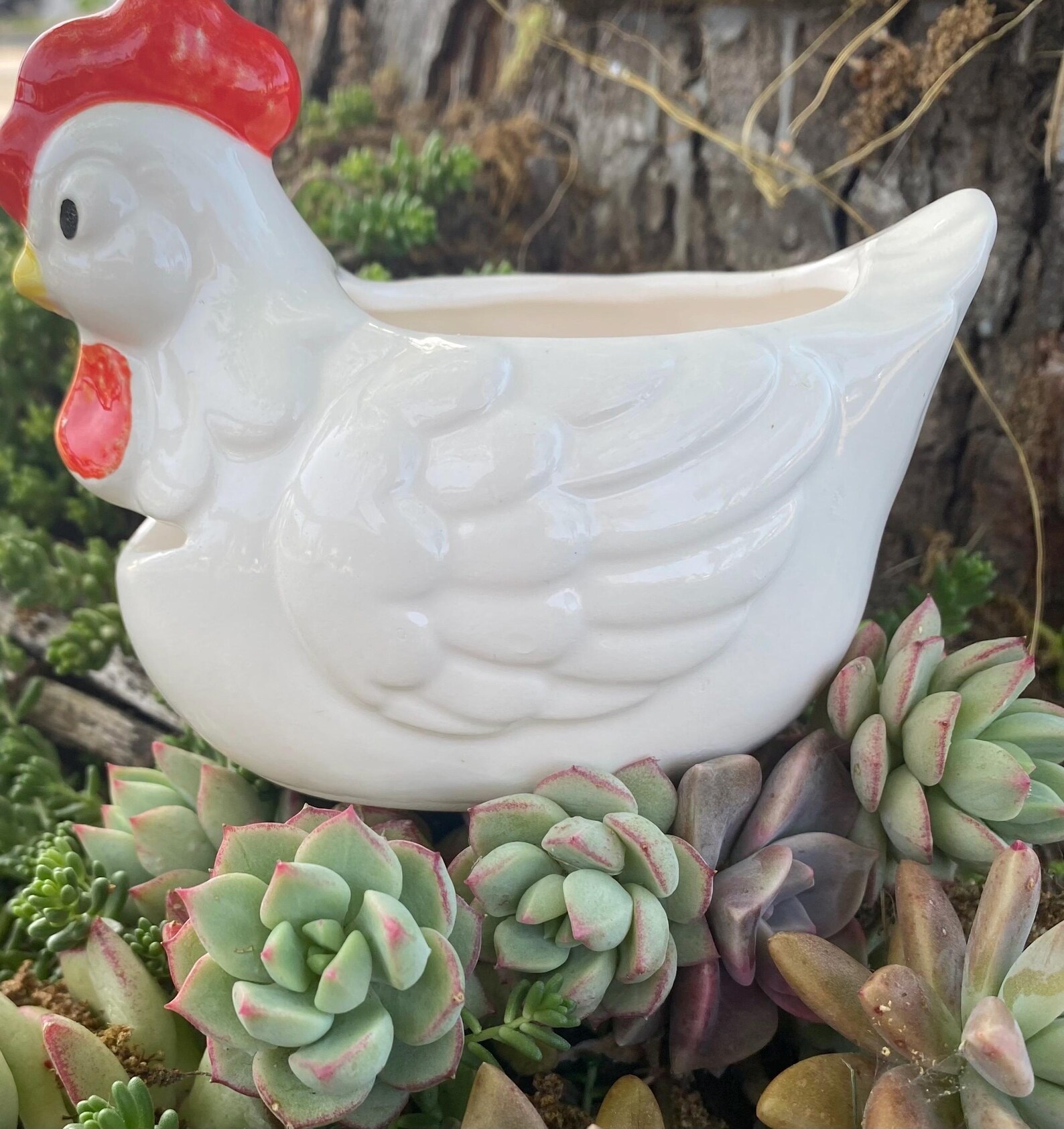 Vintage Chicken Egg Yolk Seperator*1950’s Ceramic Chicken Collectible ...