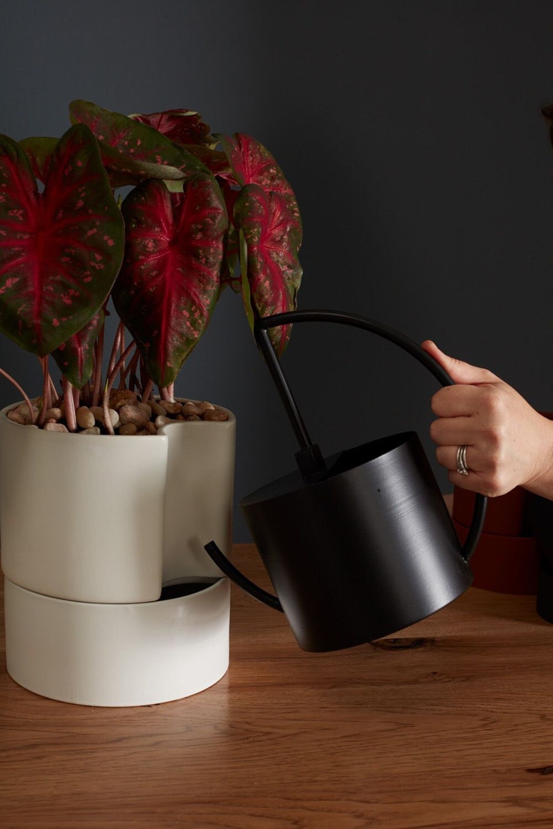 Iron Geometric Black Watering Can - Etsy