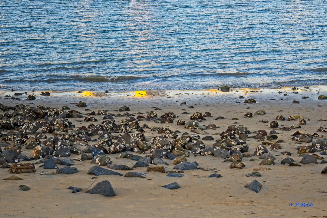 Crusty Stones Beach Invasion Coronado Island, CA Beach Scene at Dusk - Etsy