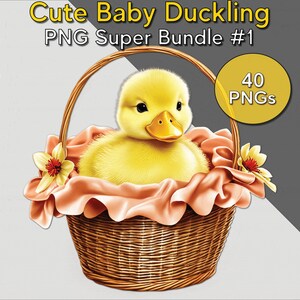 Cute Baby Ducks PNG Bundle #1 - Instantly Download Your Sublimation ...