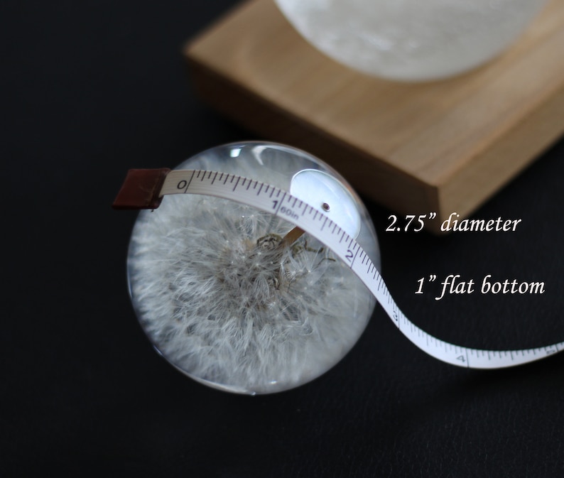 Dandelion Paperweight Made From a Real Dandelion Seed Puff. Office Decoration, Birthday ...