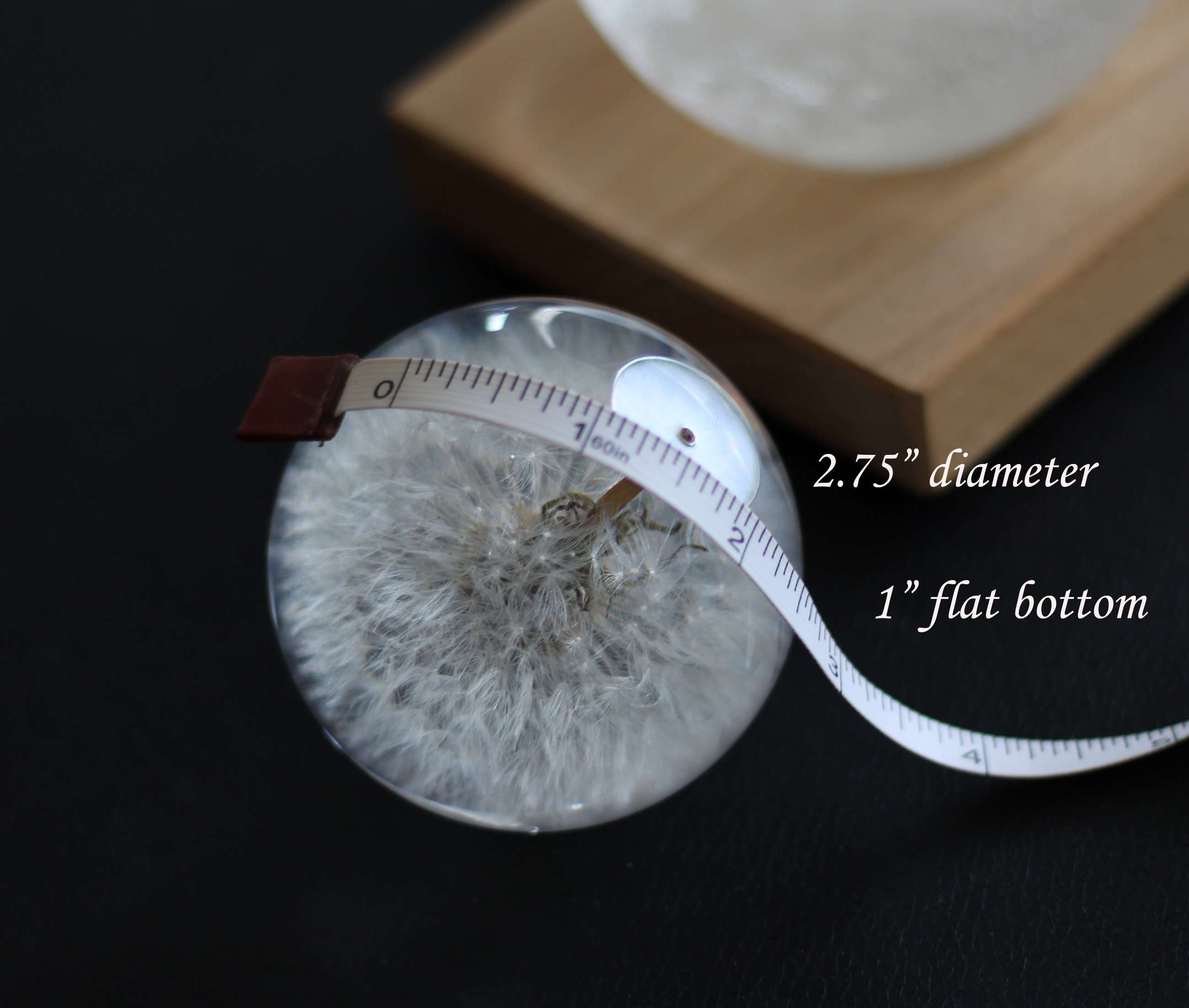 Dandelion Paperweight Made From a Real Dandelion Seed Puff. - Etsy