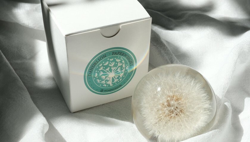 Dandelion Paperweight Made From a Real Dandelion Seed Puff. - Etsy