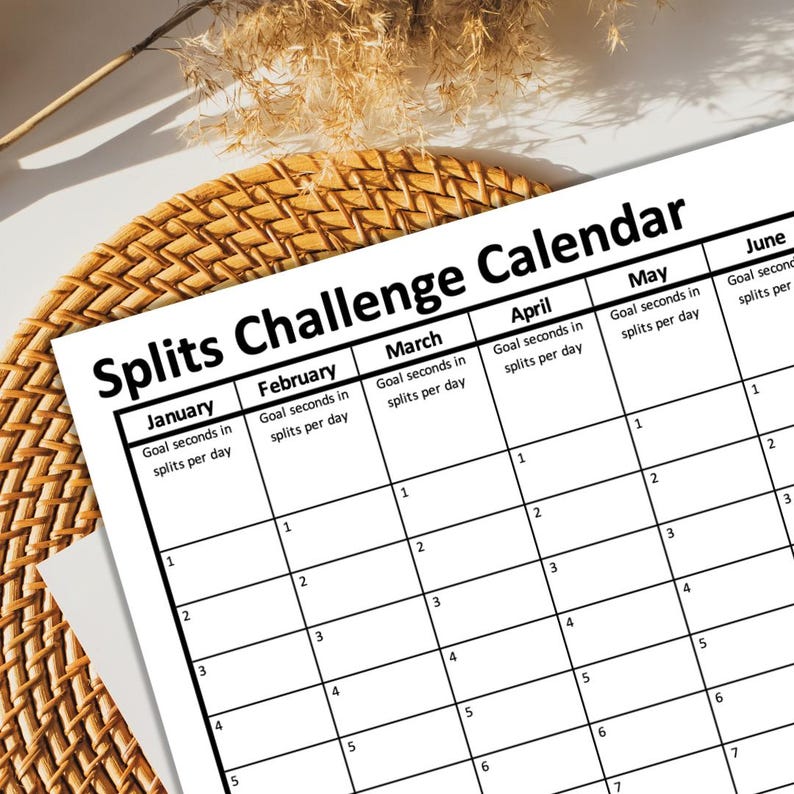 A3 Poster Splits Tracker Challenge Laminated Wall Daily Year Planner ...